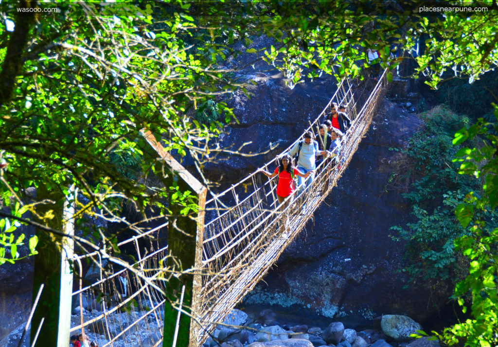 The Double Decker Living Root Bridge In Nongriat Meghalaya Was Out Of Office the-double-decker-living-root-bridge-in-nongriat-meghalaya-was-out-of-office